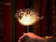 Mr. Puff | Super Smash Bros. Bowl Wiki | Fandom