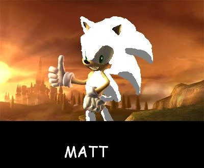 Matt the hedgehog | Super Smash Bros. Fanon | Fandom