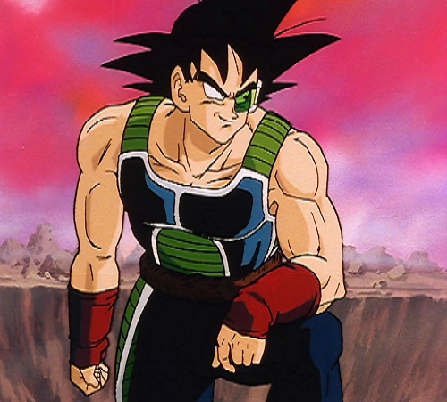 Bardock(ssba) | Super Smash Bros. Fanon | Fandom