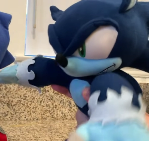 Sonic the Werehog | SuperSonicBlake Wiki | Fandom