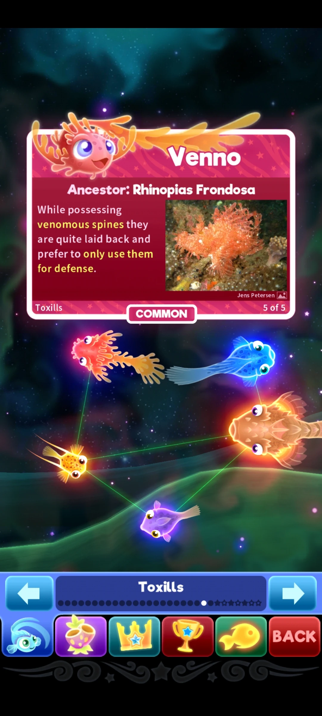 Venno | Super Starfish Wiki | Fandom