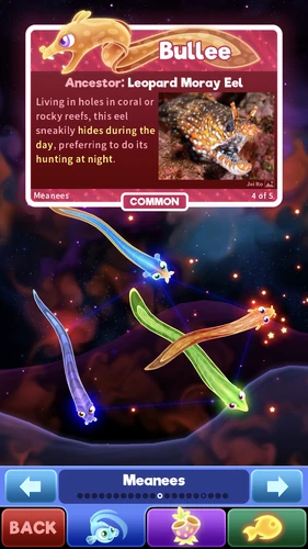 Bullee | Super Starfish Wiki | Fandom