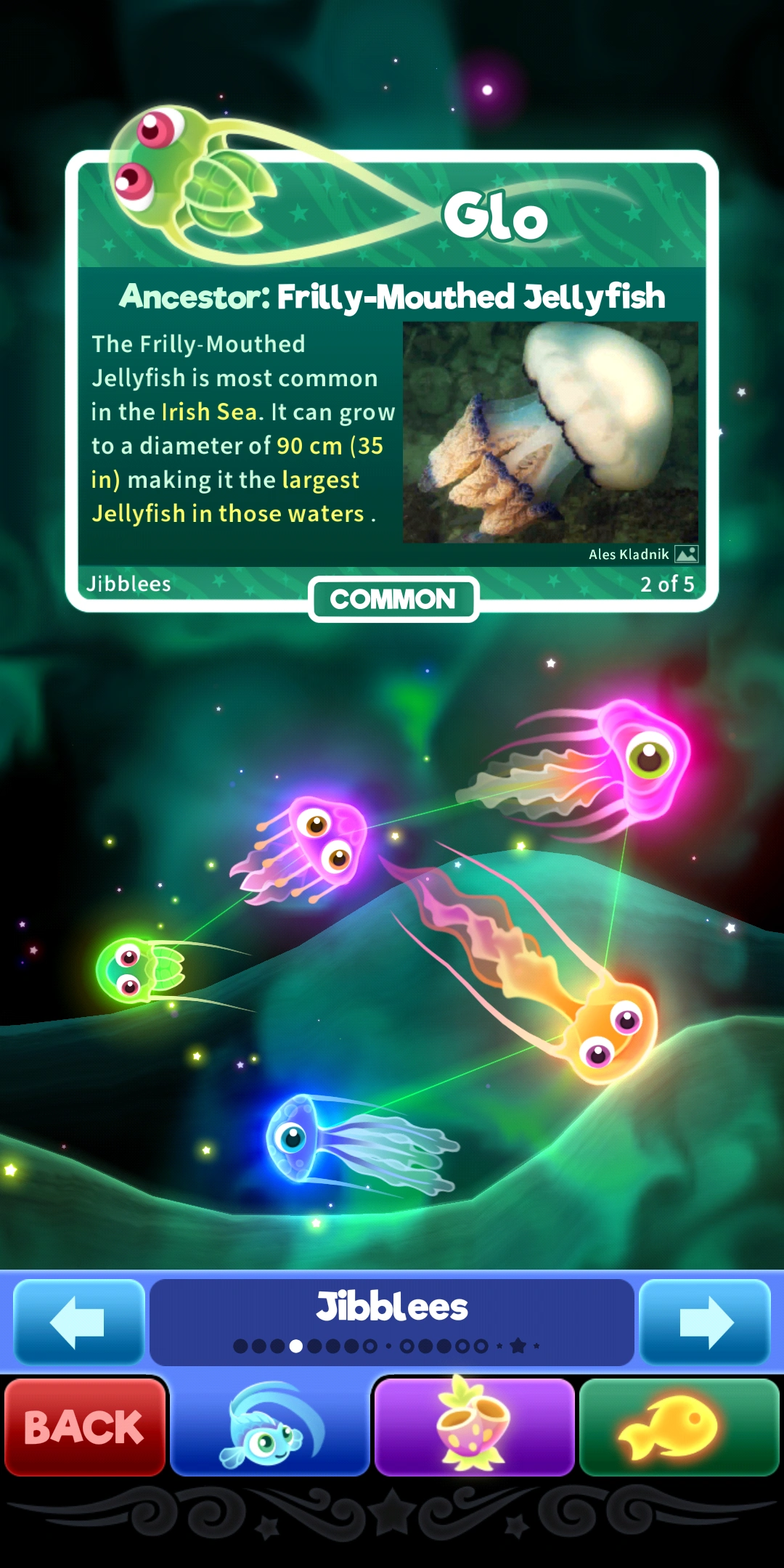 Glo | Super Starfish Wiki | Fandom