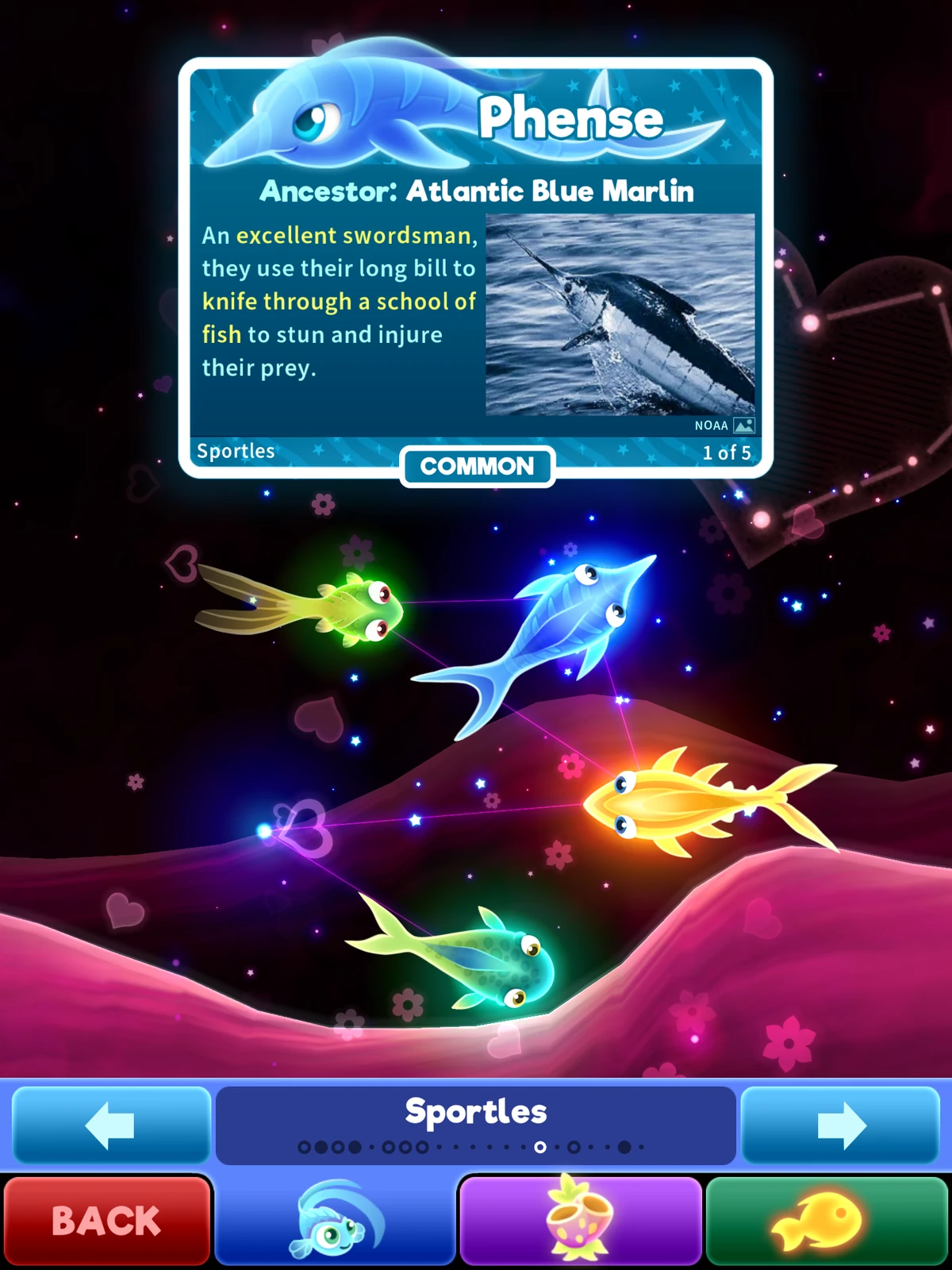 Phense | Super Starfish Wiki | Fandom