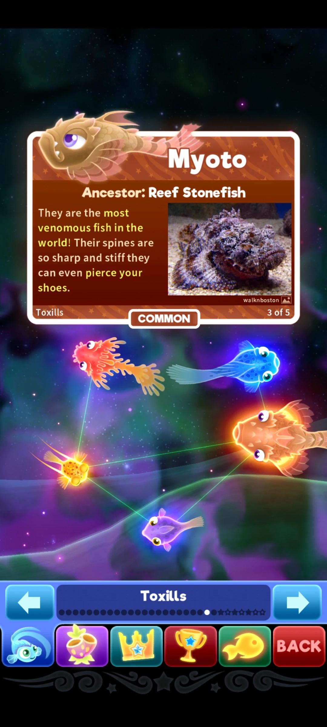 Myoto | Super Starfish Wiki | Fandom