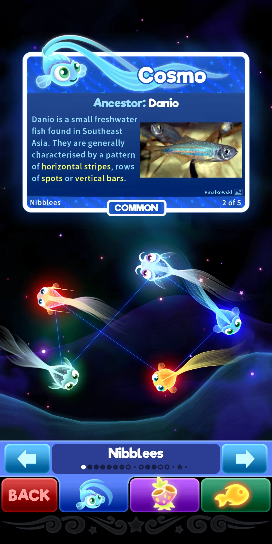 Cosmo | Super Starfish Wiki | Fandom