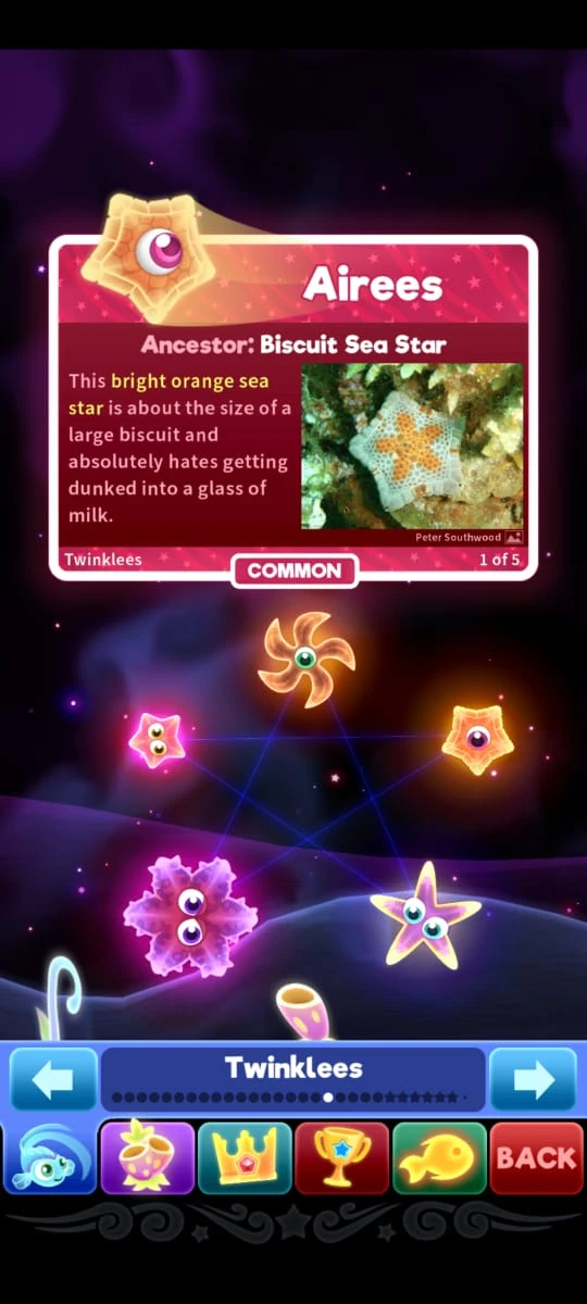 Airees | Super Starfish Wiki | Fandom