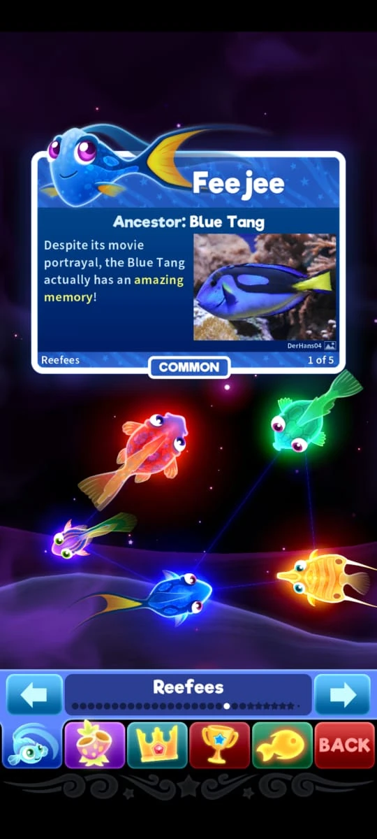 Feegee | Super Starfish Wiki | Fandom