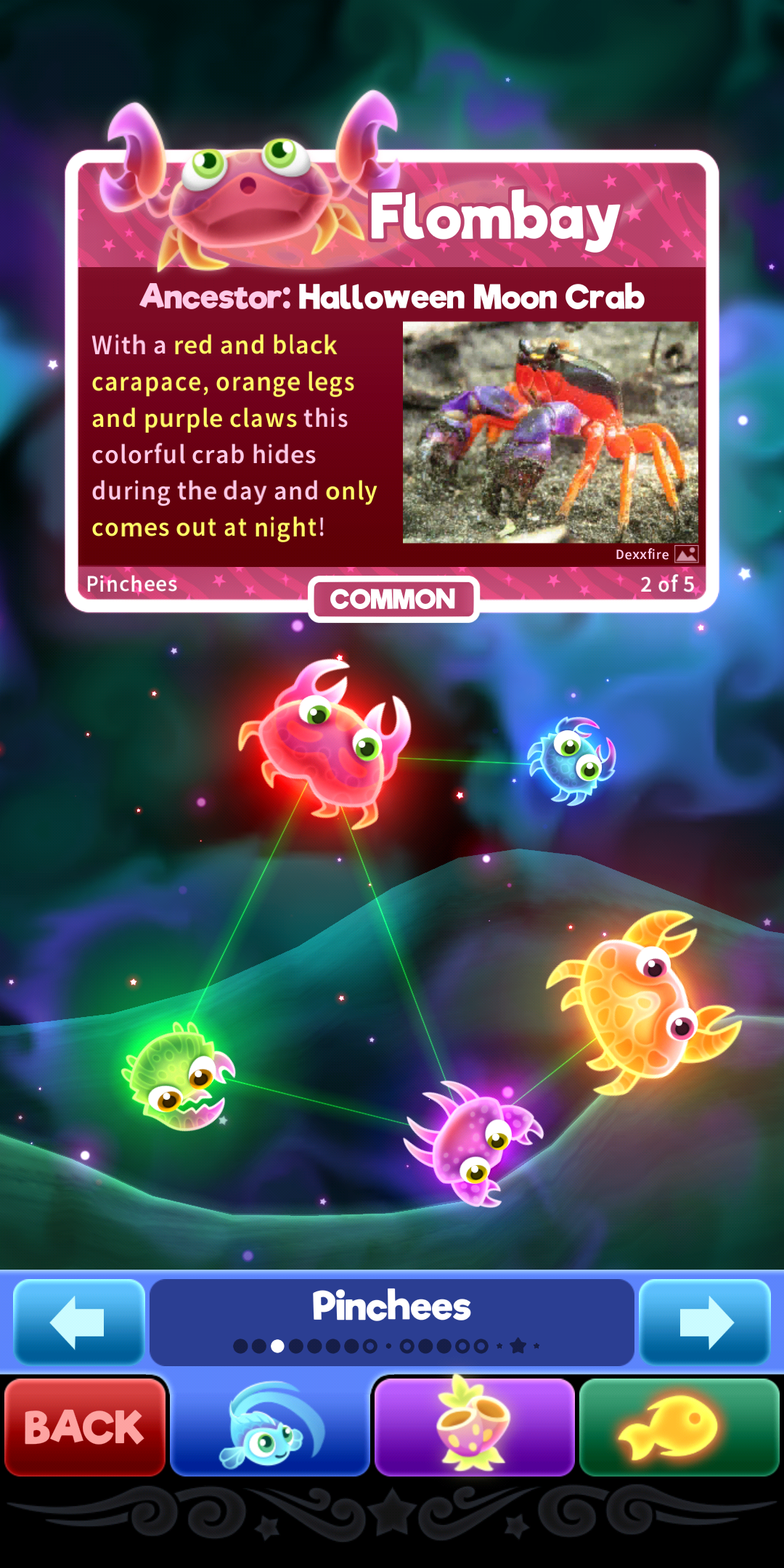 Flombay | Super Starfish Wiki | Fandom