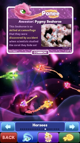 Ponee | Super Starfish Wiki | Fandom