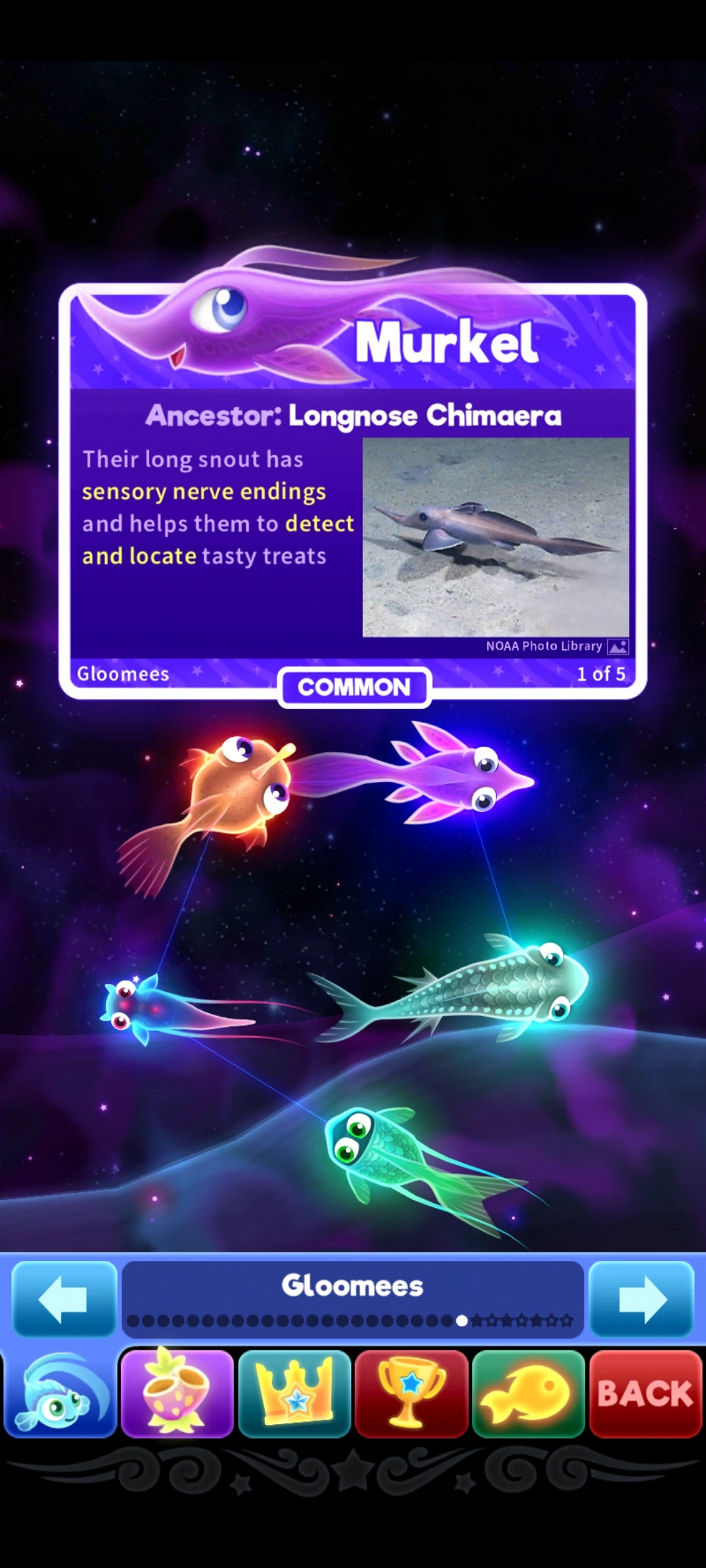 Murkel | Super Starfish Wiki | Fandom