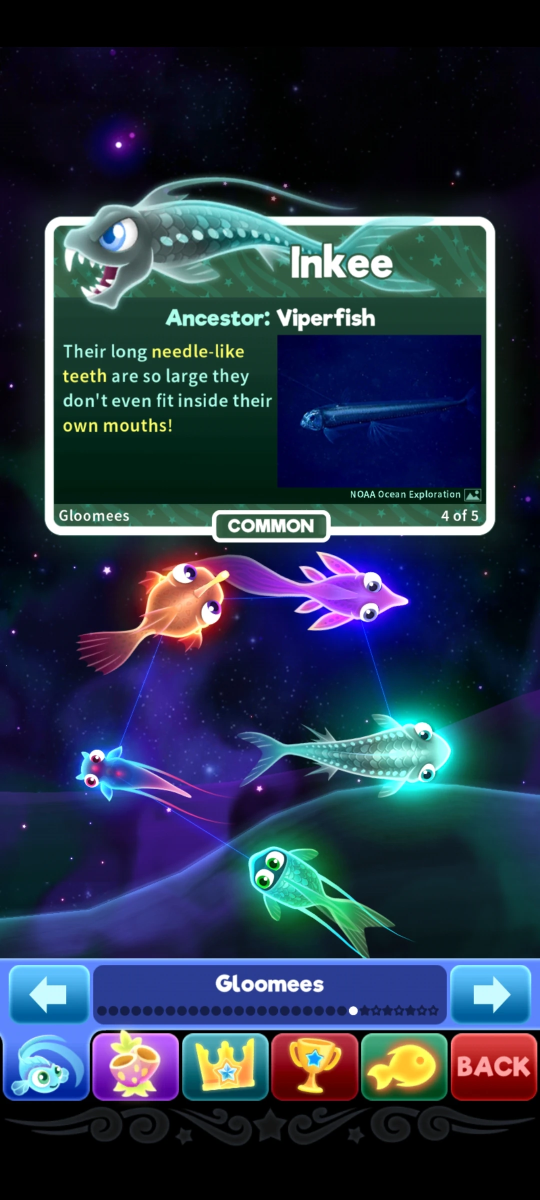 Inkee | Super Starfish Wiki | Fandom