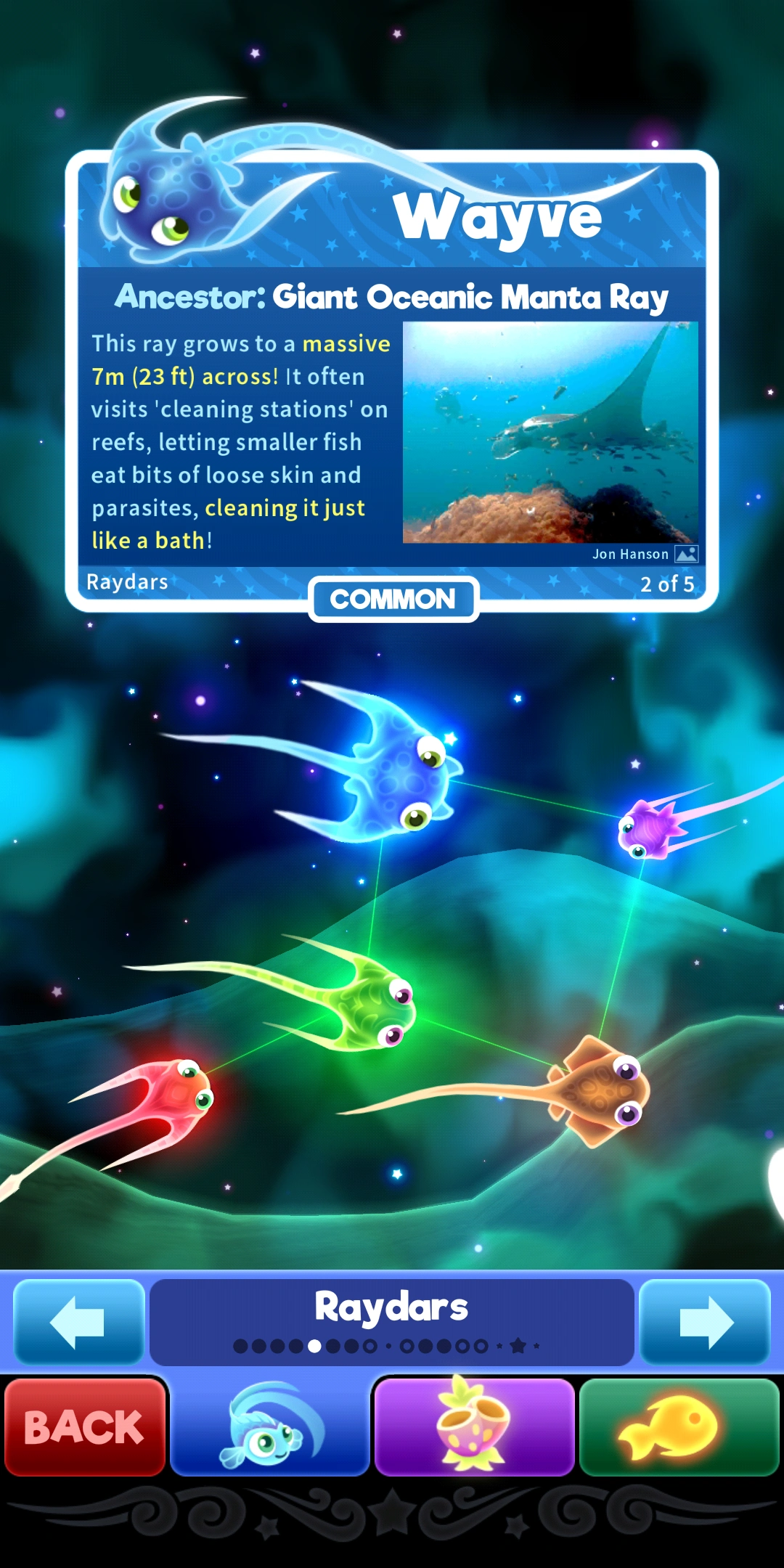 Wayve | Super Starfish Wiki | Fandom