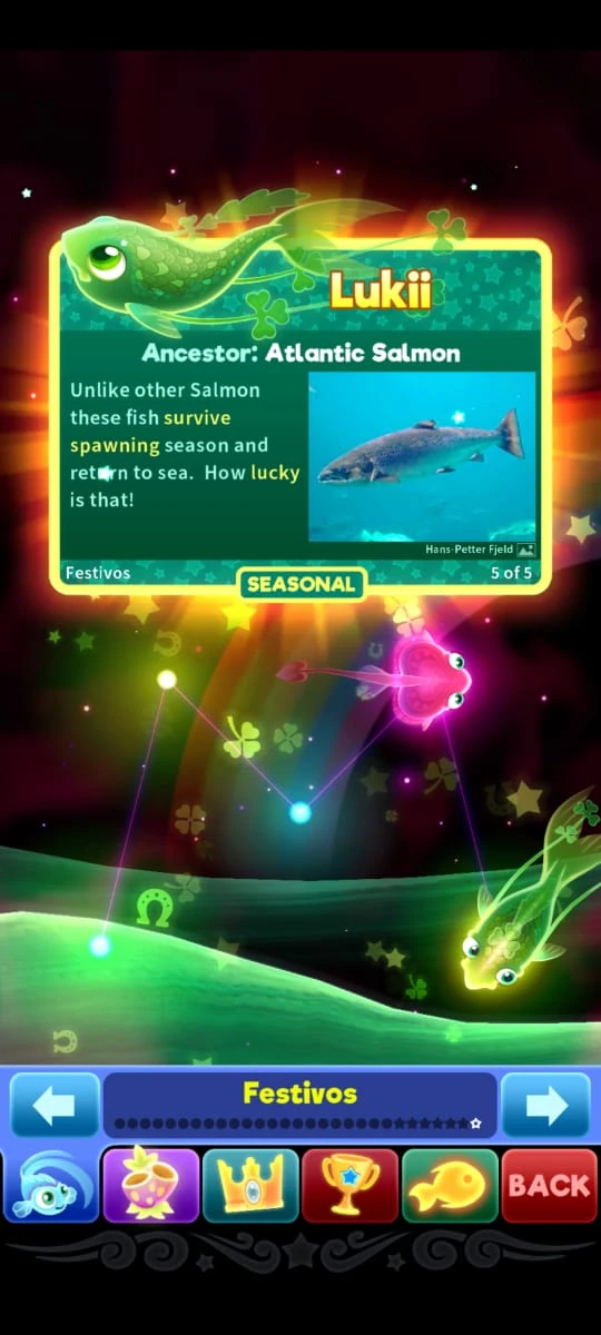 Lukii | Super Starfish Wiki | Fandom