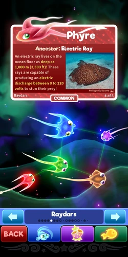 Phyre | Super Starfish Wiki | Fandom