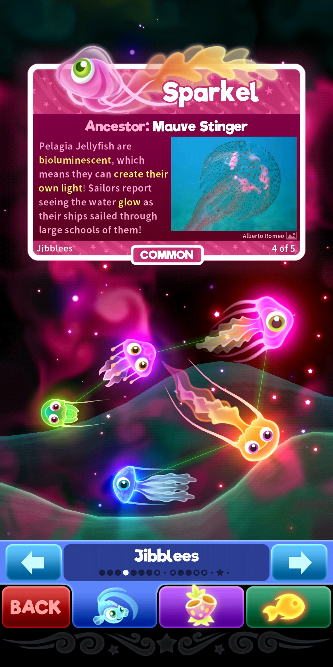 Sparkel | Super Starfish Wiki | Fandom