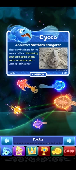 Cyoto | Super Starfish Wiki | Fandom