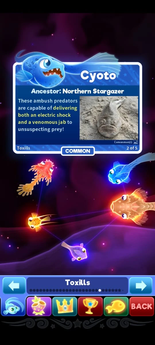 Cyoto | Super Starfish Wiki | Fandom