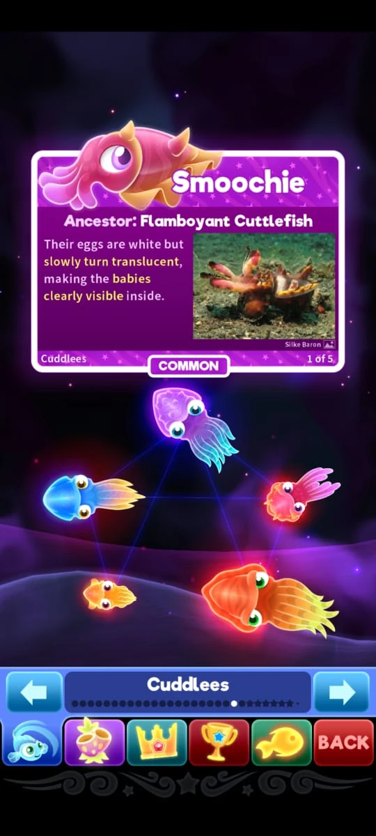 Smoochie | Super Starfish Wiki | Fandom