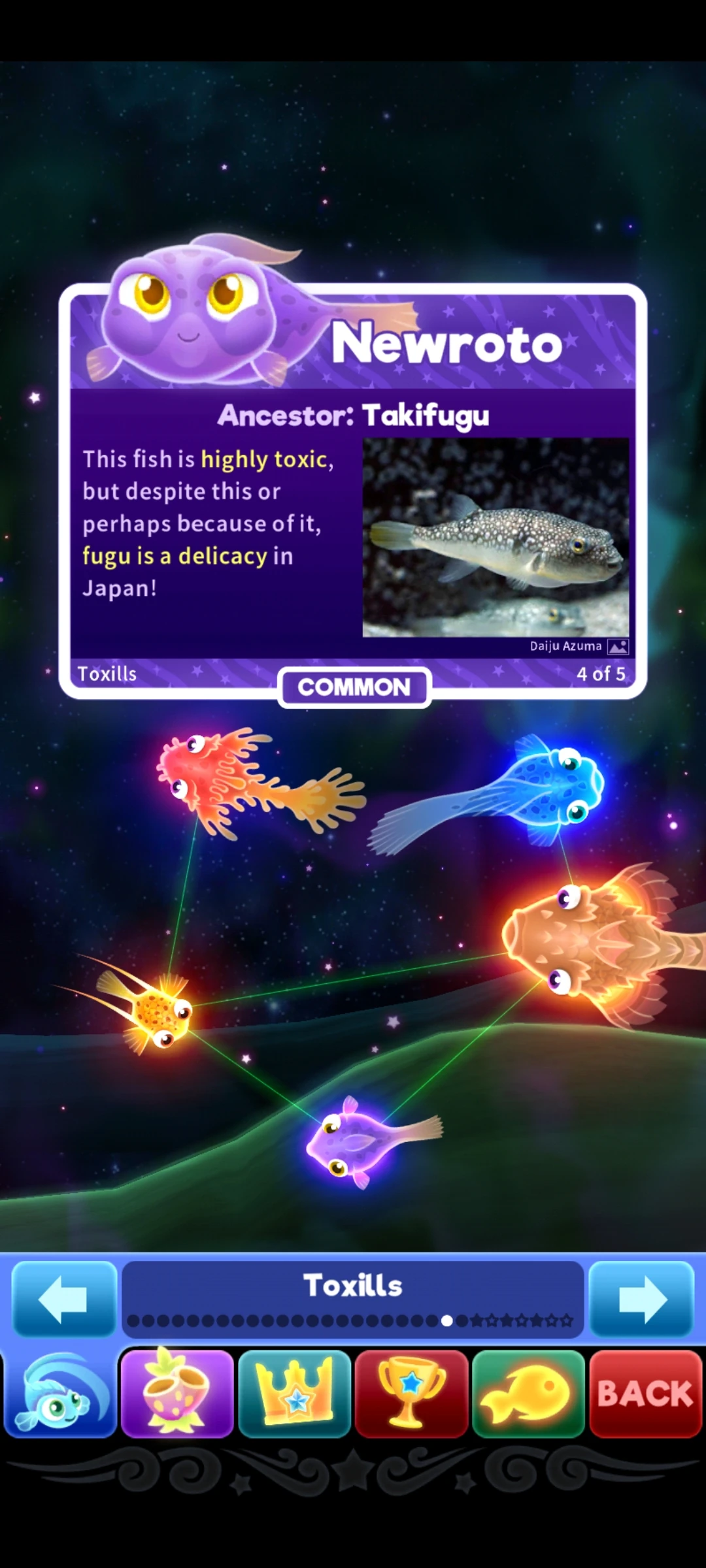 Newroto | Super Starfish Wiki | Fandom