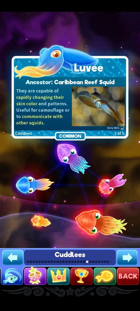 Luvee | Super Starfish Wiki | Fandom