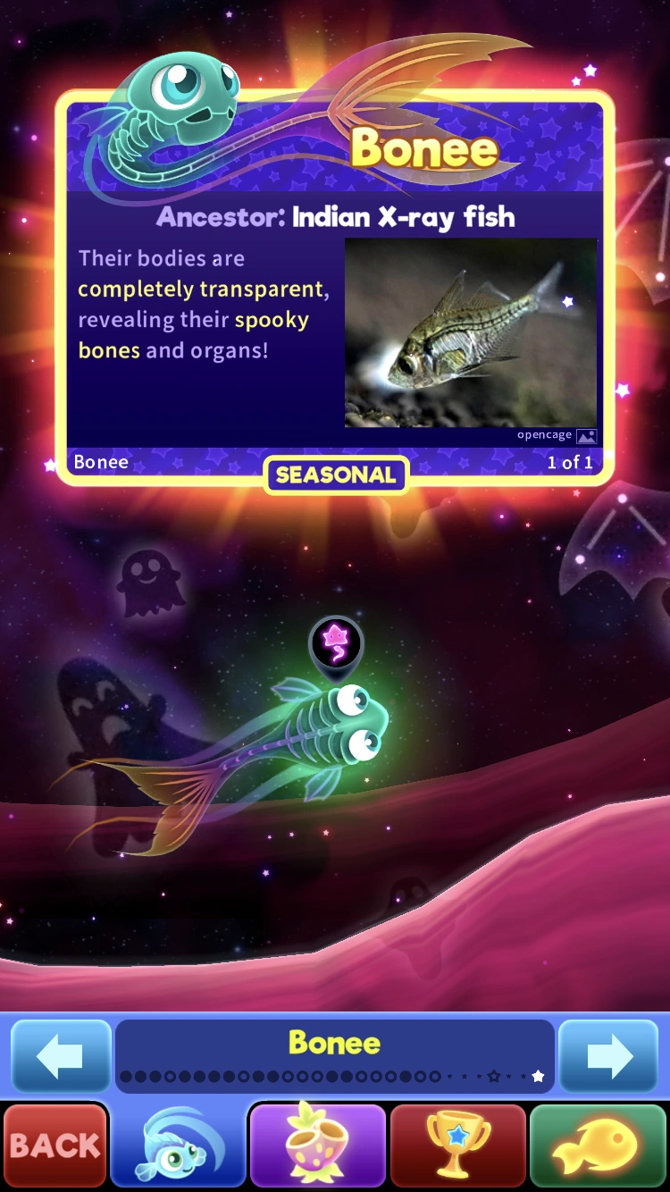 Bonee | Super Starfish Wiki | Fandom