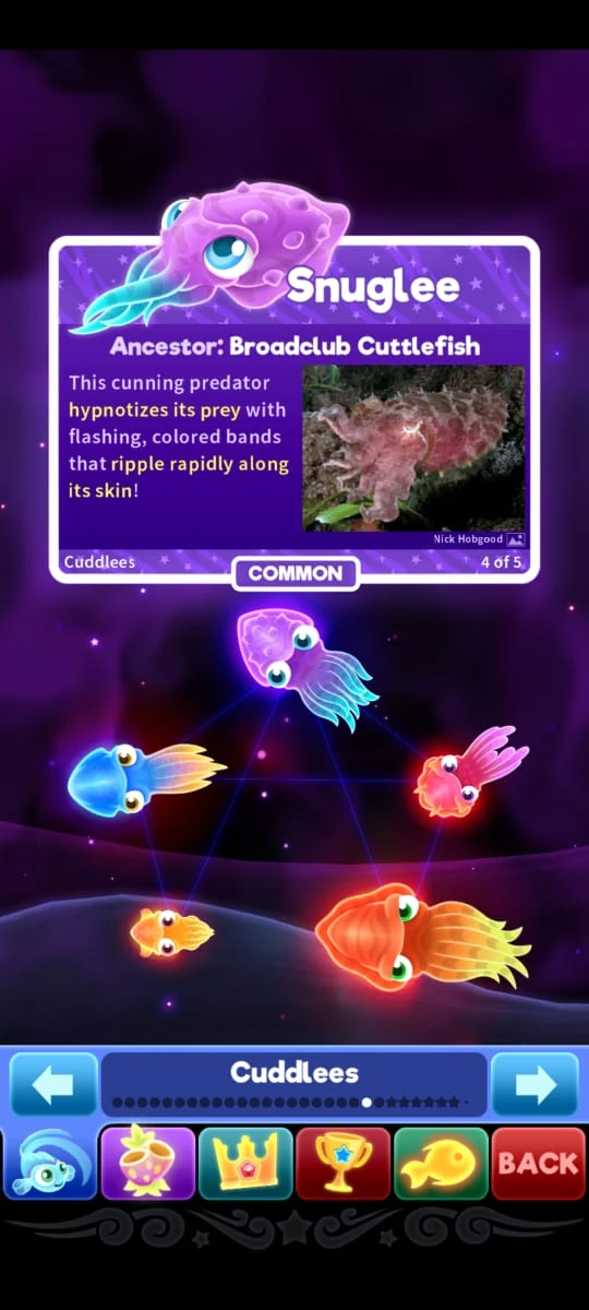 Snuglee | Super Starfish Wiki | Fandom