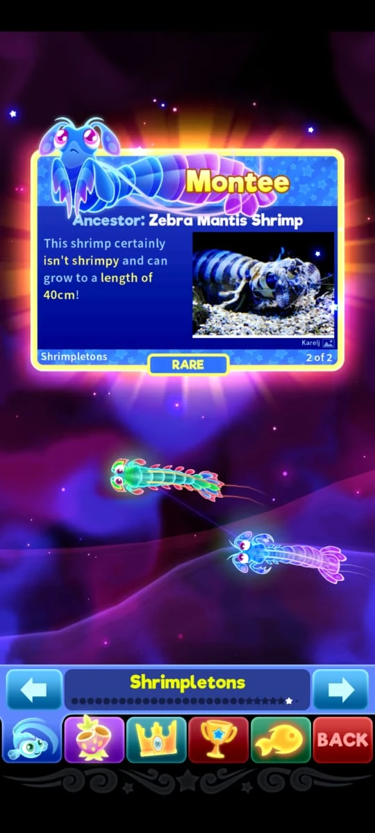 Montee | Super Starfish Wiki | Fandom