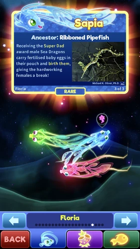 Sapia | Super Starfish Wiki | Fandom