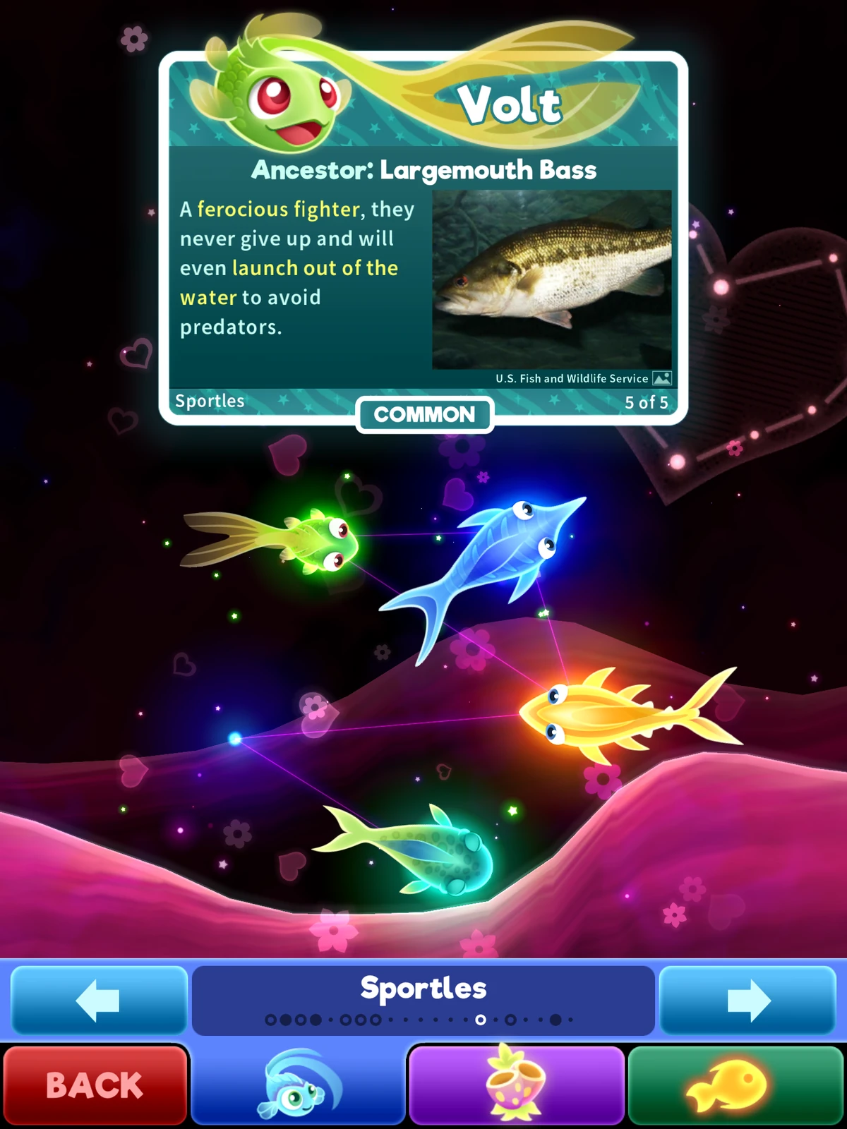 Volt | Super Starfish Wiki | Fandom