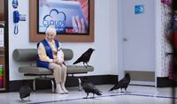 Myrtle Vartanian | Superstore Wiki | Fandom