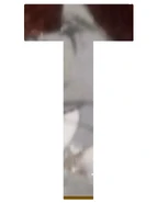 Super Letters | Super Why! Wiki | Fandom