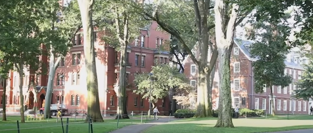 High School | Superwog Wiki | Fandom