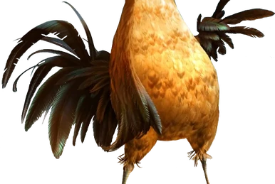 Chicken George Surfs Up