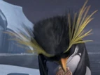 Cody Maverick | Surf's Up Wiki | Fandom