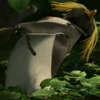 Cody Maverick | Surf's Up Wiki | Fandom