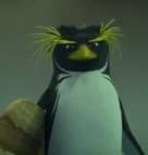 Cody Maverick | Surf's Up Wiki | Fandom