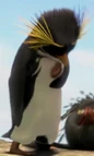 Cody Maverick | Surf's Up Wiki | Fandom