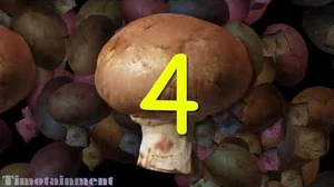 Fungus Facts | Surreal Memes Wiki | Fandom