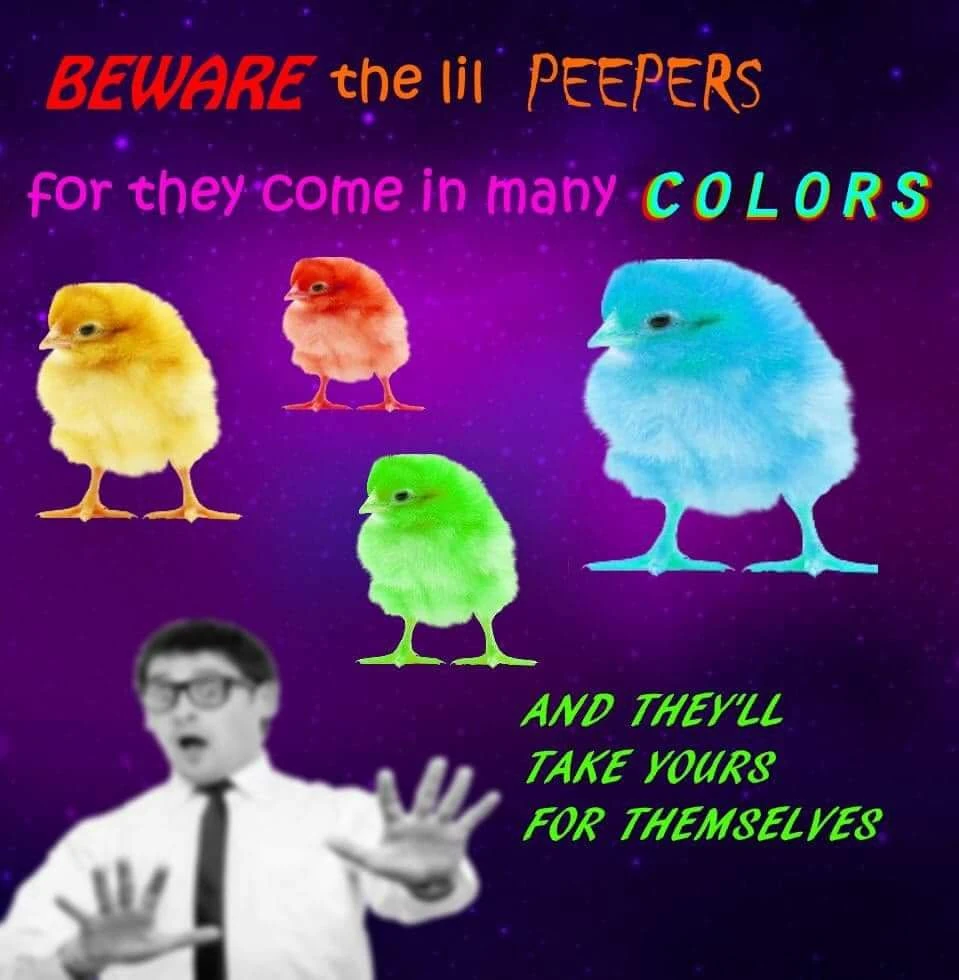 Category:Chicks | Surreal Memes Wiki | Fandom
