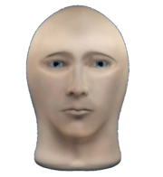 Meme Man Versions | Surreal Memes Wiki | Fandom