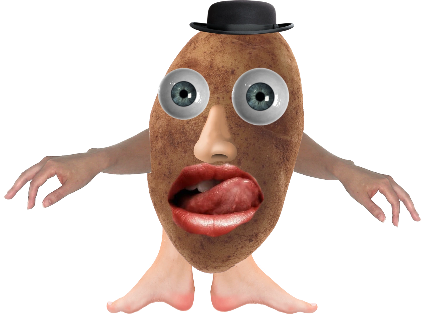 Mr Potato Head Meme