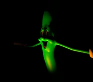 Vegetal/Gallery | Surreal Memes Wiki | Fandom