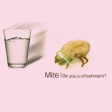 Time Mite | Surreal Memes Wiki | Fandom