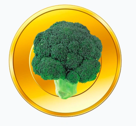 Brogle Coin | Surreal Memes Fanon Wiki | Fandom