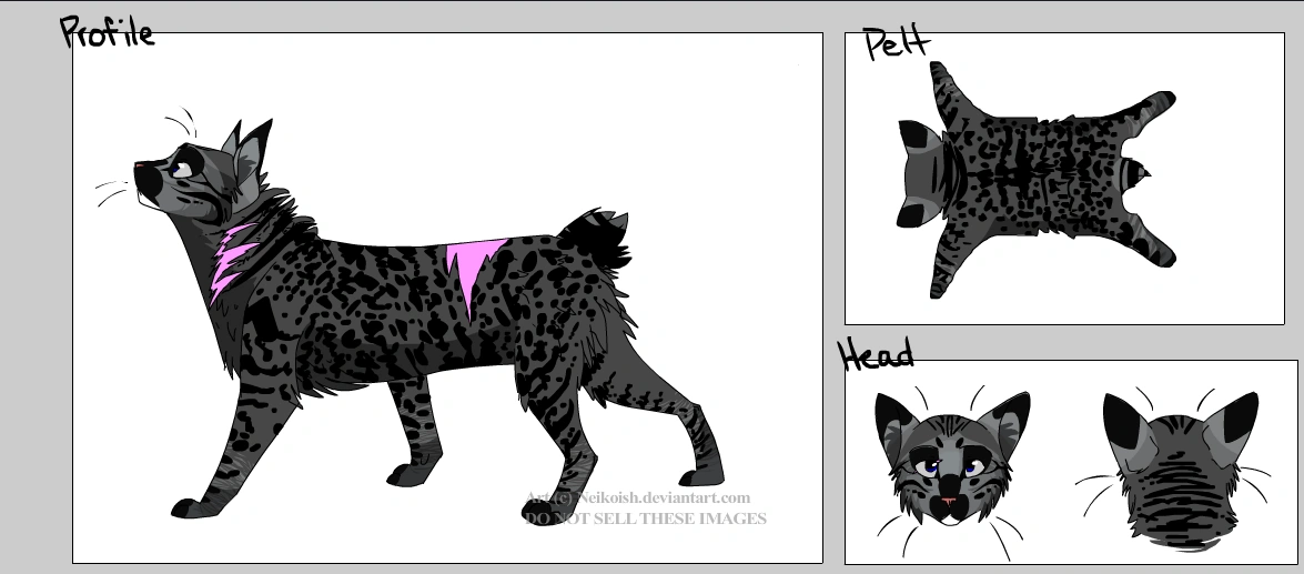 Midnightpaw | Survival of The Clans Wiki | Fandom