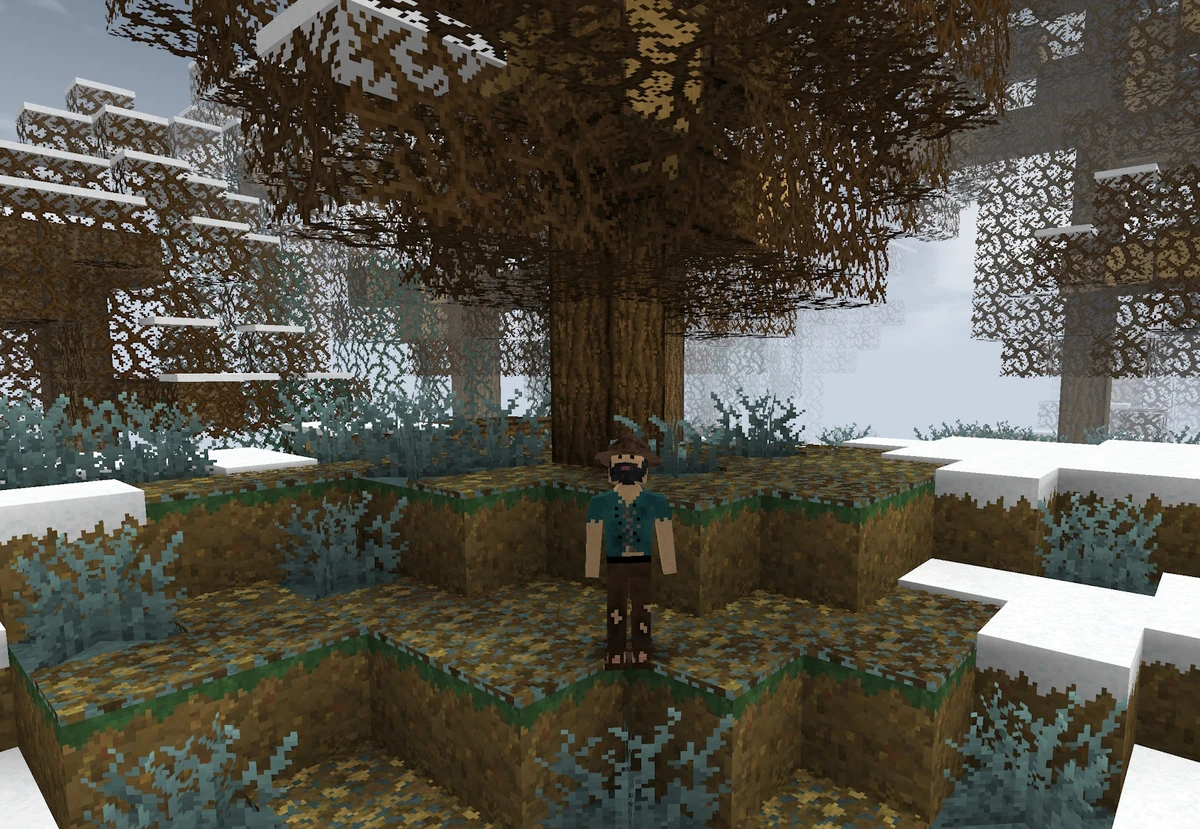 2.4 | Survivalcraft Wiki | Fandom