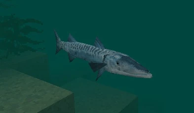 Barracuda | Survivalcraft Wiki | Fandom