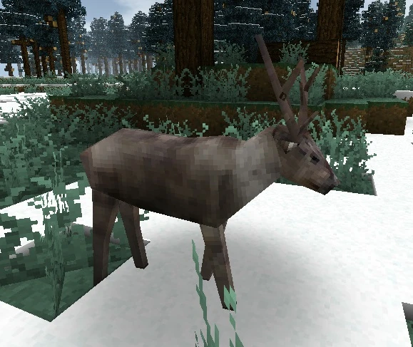 Reno | Survivalcraft Wiki | Fandom