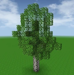 Abedul | Survivalcraft Wiki | Fandom